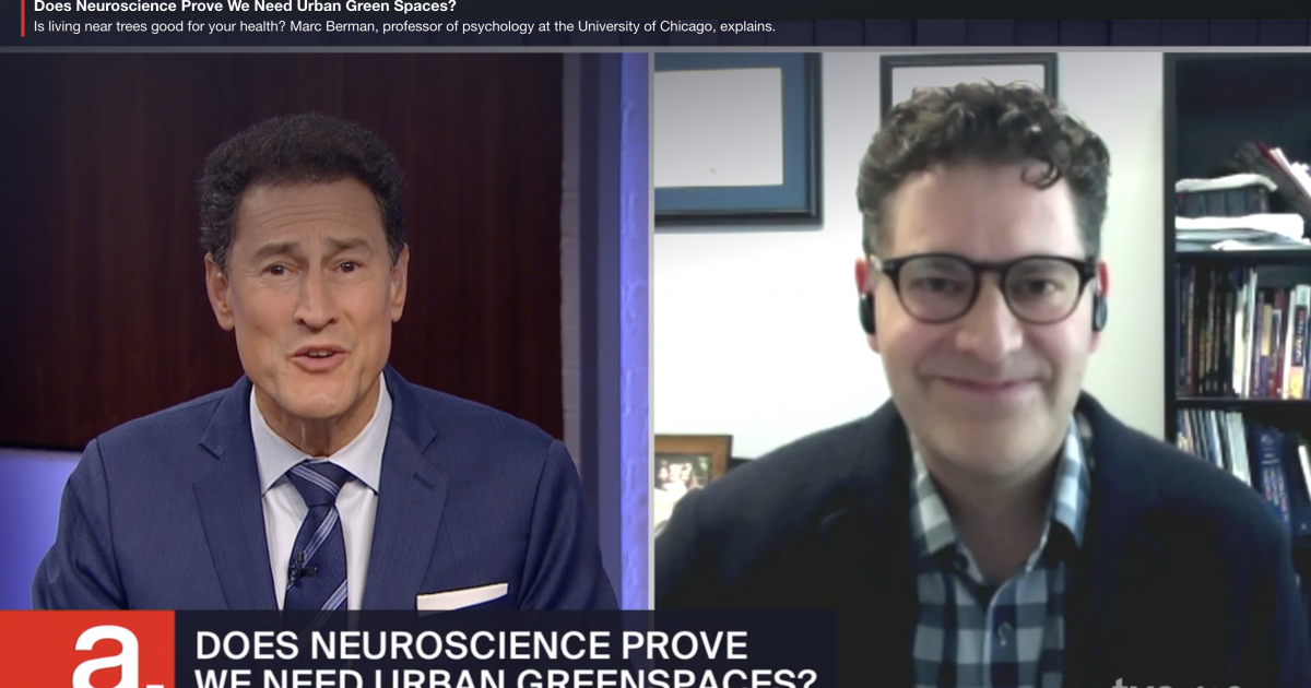 Does Neuroscience Prove We Need Urban Green Spaces? | Center for ...